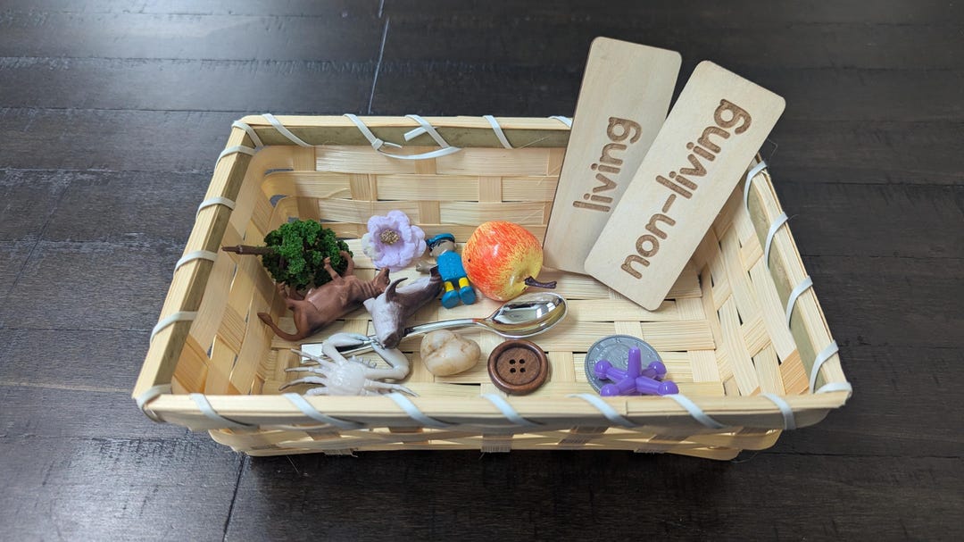 Living/non-living Sorting Set, Montessori Object Classification, Gift ...