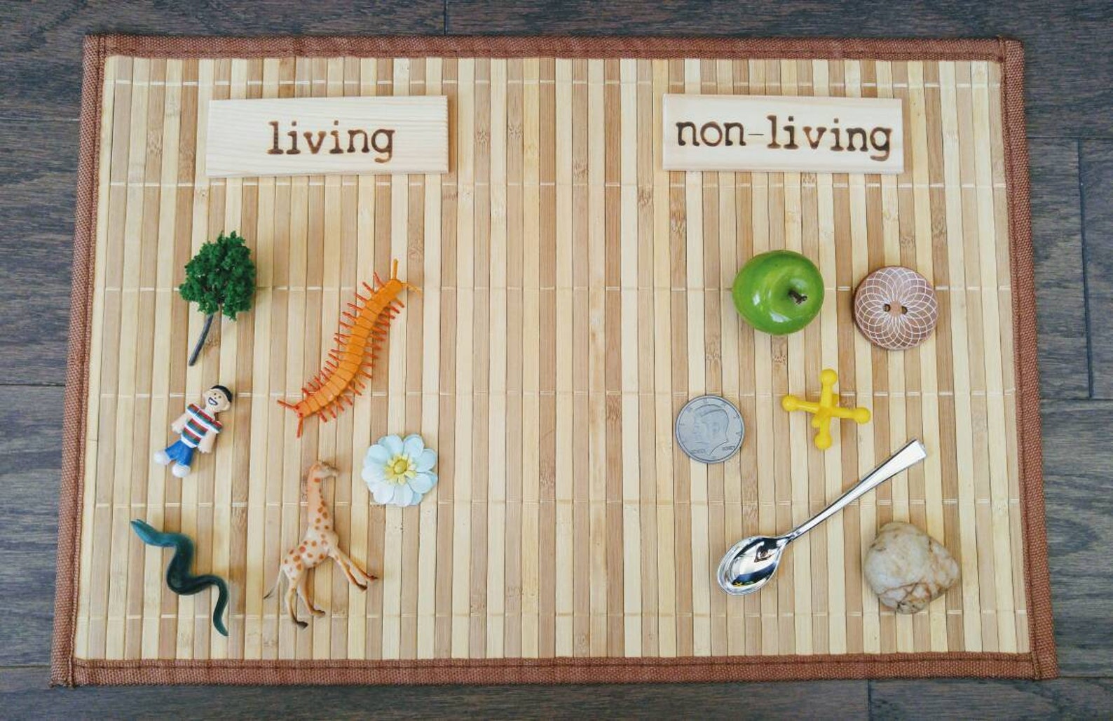 Living/non-living Sorting Set Montessori Object - Etsy