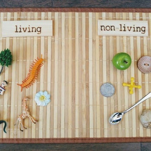 Living/non-living Sorting Set, Montessori Object Classification, Gift ...