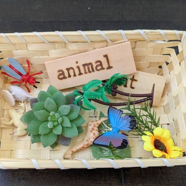 Montessori Plant Animal Classification - Etsy