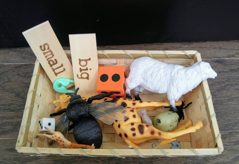 Big/Small Sorting Set Montessori Object Classification Gift | Etsy