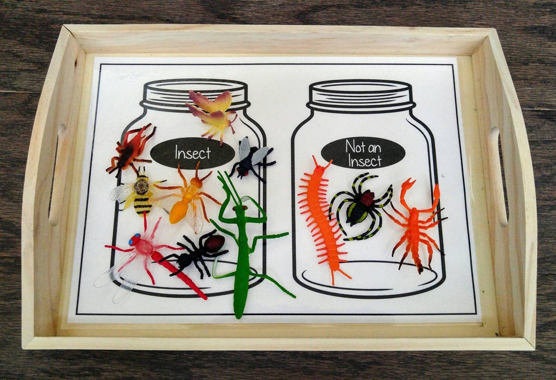 Bug/insect Sensory Activity Kit 3 Activities in 1 Fine Motor - Etsy