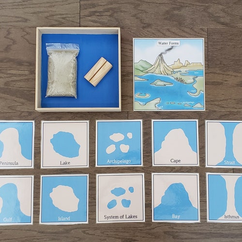 Land/air/water Activity Kit Object Matching Gift for Kids - Etsy