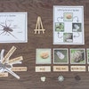 Loose Parts Number Exploration, Math Activity, Fine Motor Skills, Gift ...