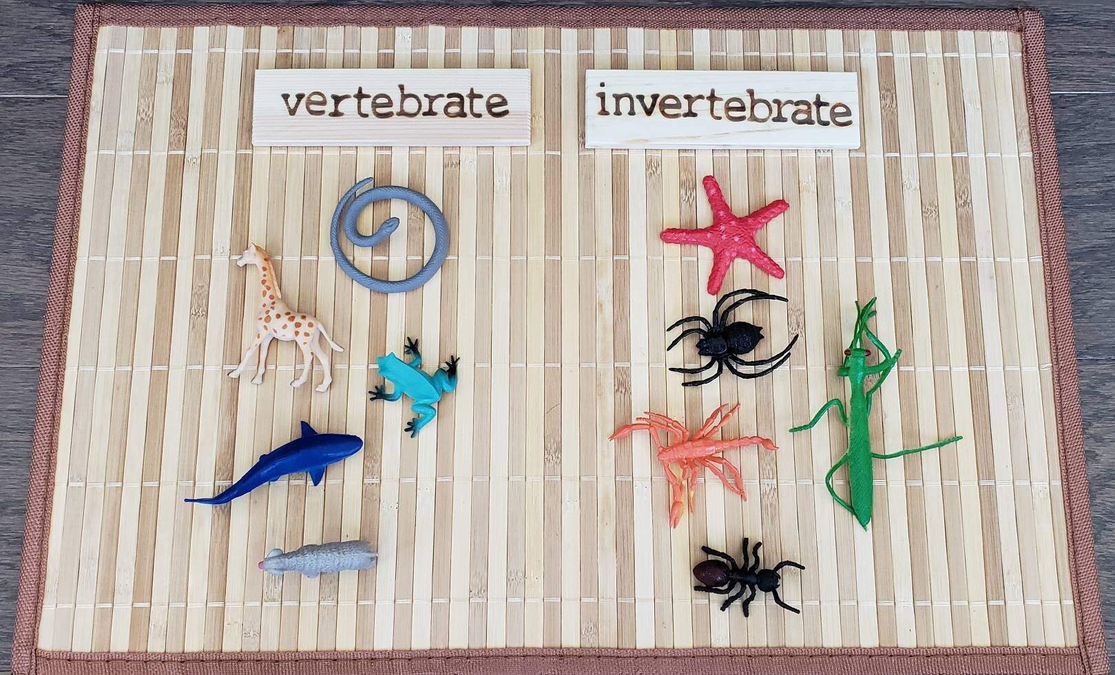 Vertebrate/invertebrate Sorting Set, Montessori Object Classification ...