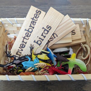 Animal Classification Sorting Set, Montessori Object Classification ...