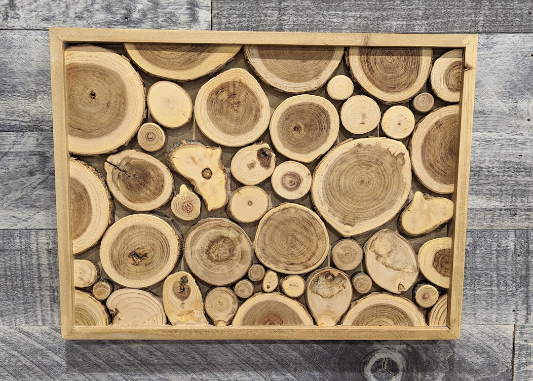 Wood Slice Artwork, Wall Hanging, Natural Wood Art - Etsy