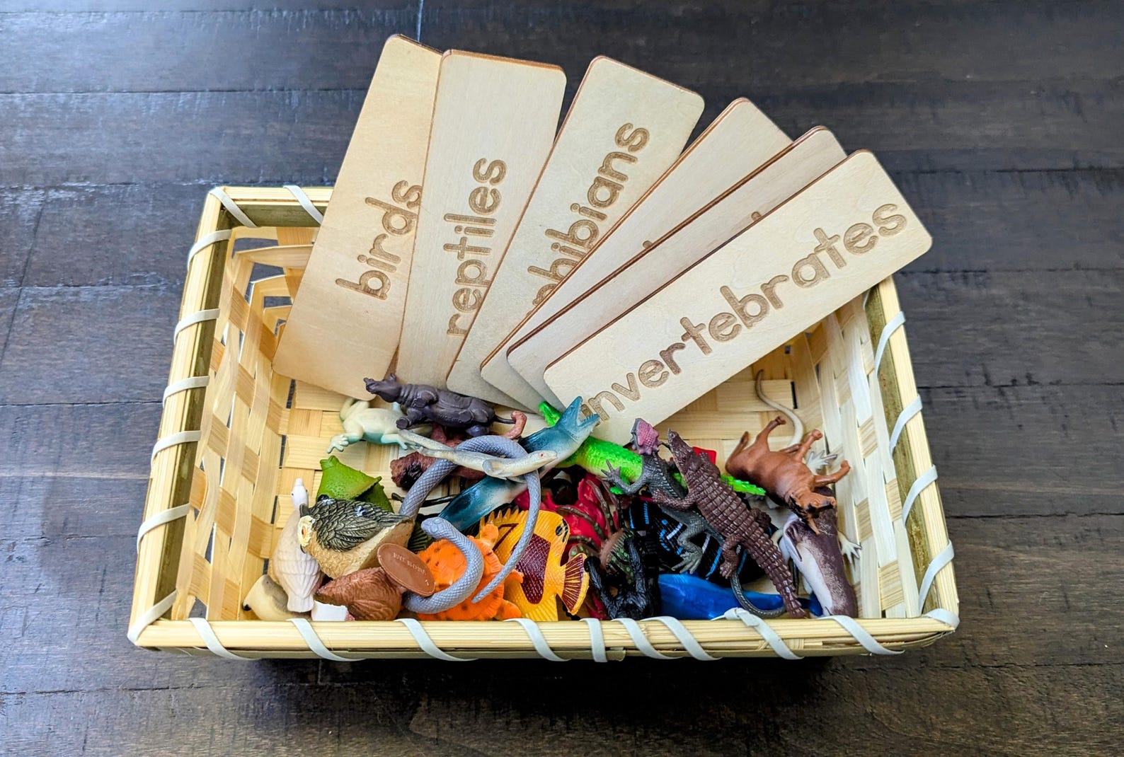 Animal Classification Sorting Set, Montessori Object Classification ...