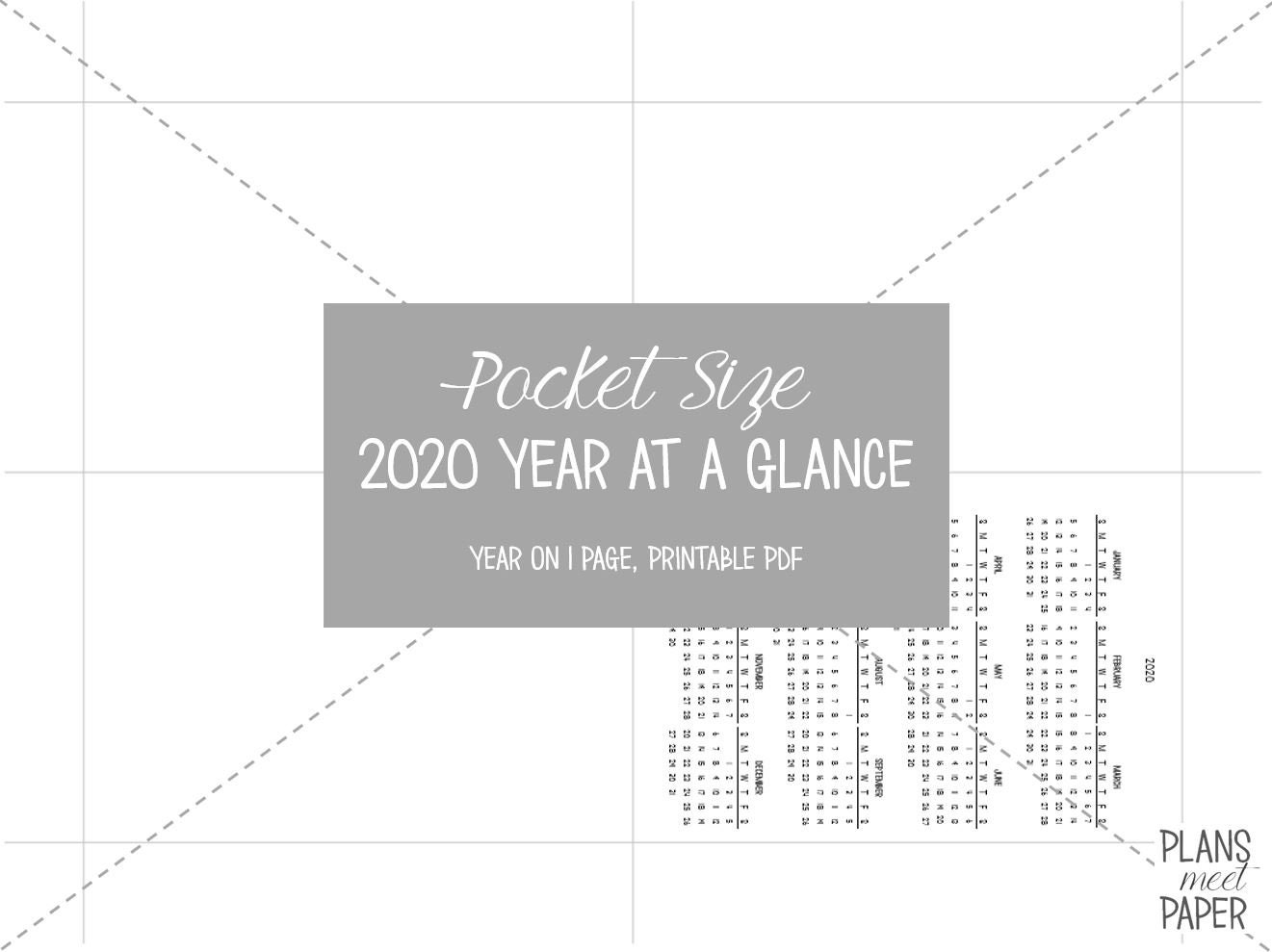 PRINTABLE Pocket Size 2020 Year at a Glance, Year on 1 Page Insert - Etsy
