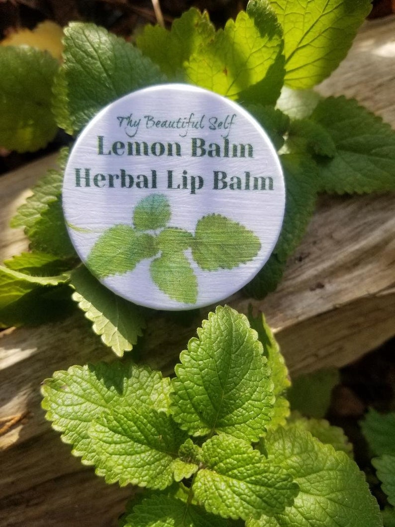 Lemon Balm Herbal Lip Balm, All Natural - Etsy