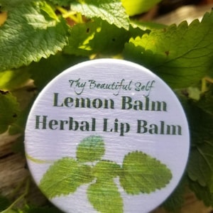 Lemon Balm Herbal Lip Balm, All Natural - Etsy
