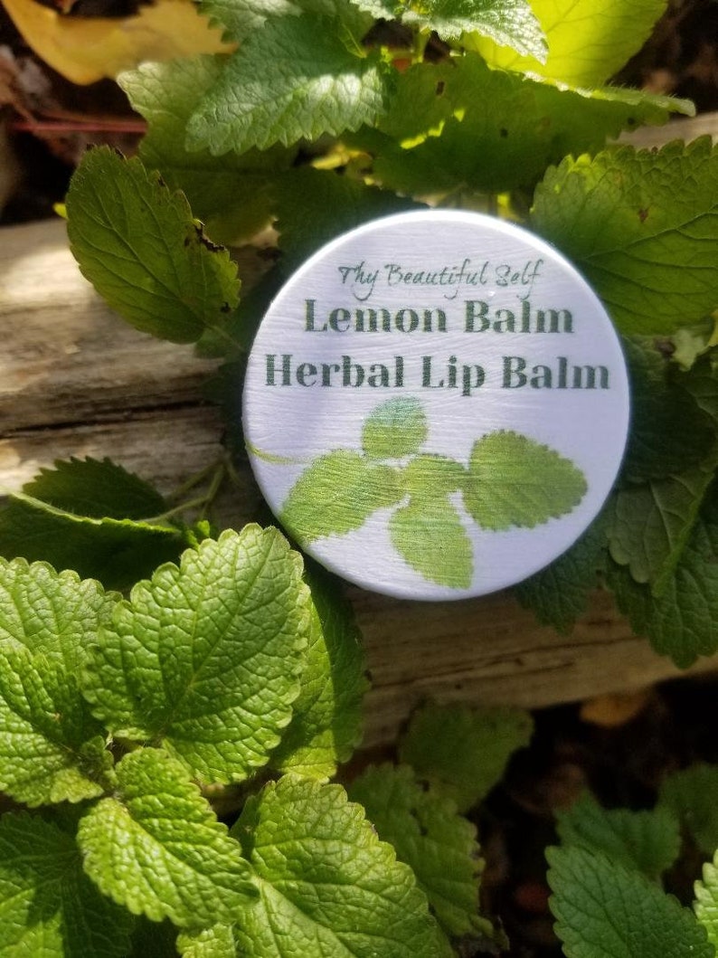Lemon Balm Herbal Lip Balm, All Natural - Etsy