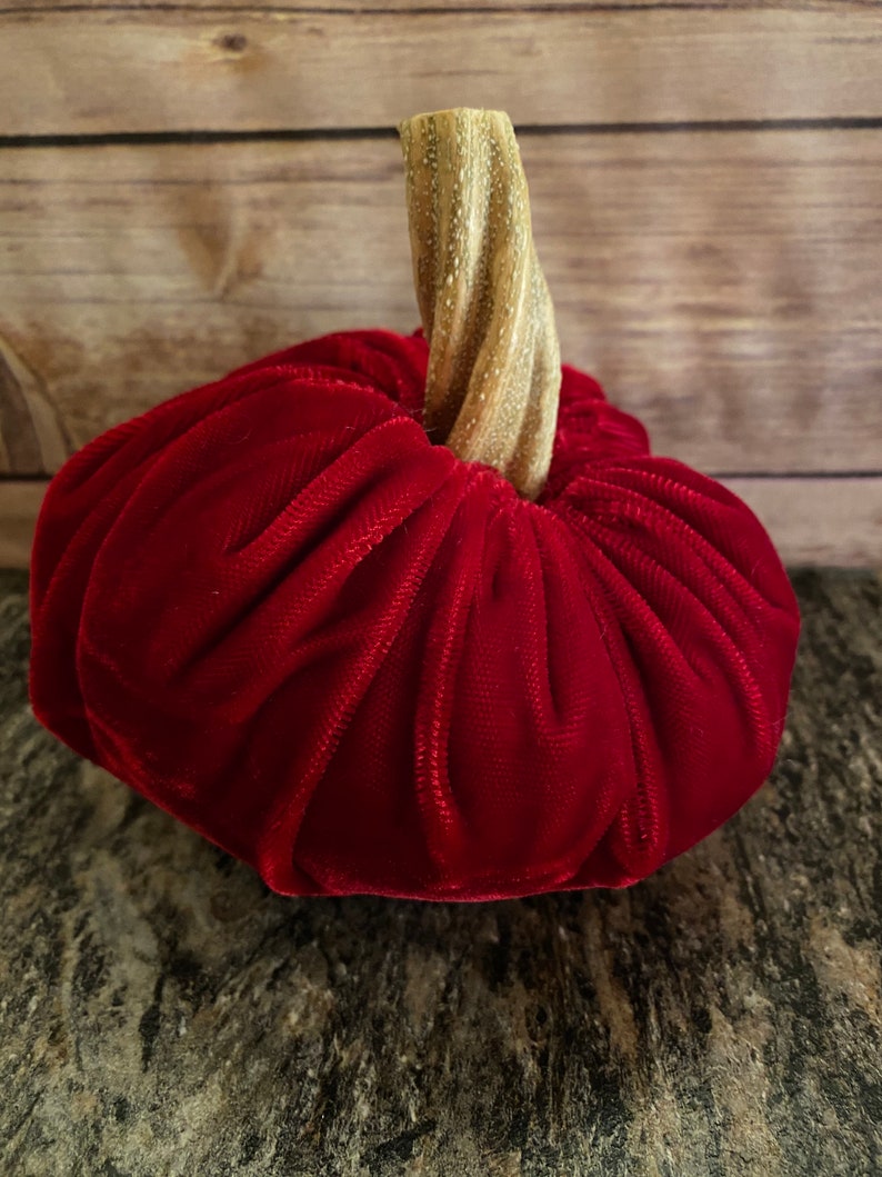 Velvet Pumpkins With Real Stems - Etsy