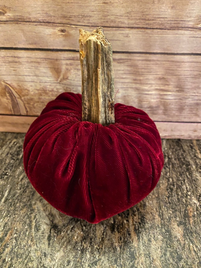 Velvet Pumpkins With Real Stems - Etsy