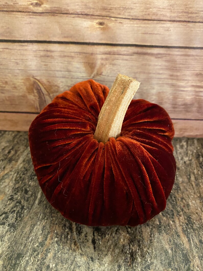 Velvet Pumpkins With Real Stems - Etsy
