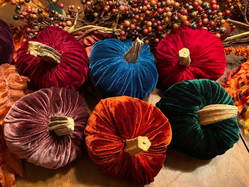 Velvet Pumpkins With Real Stems - Etsy