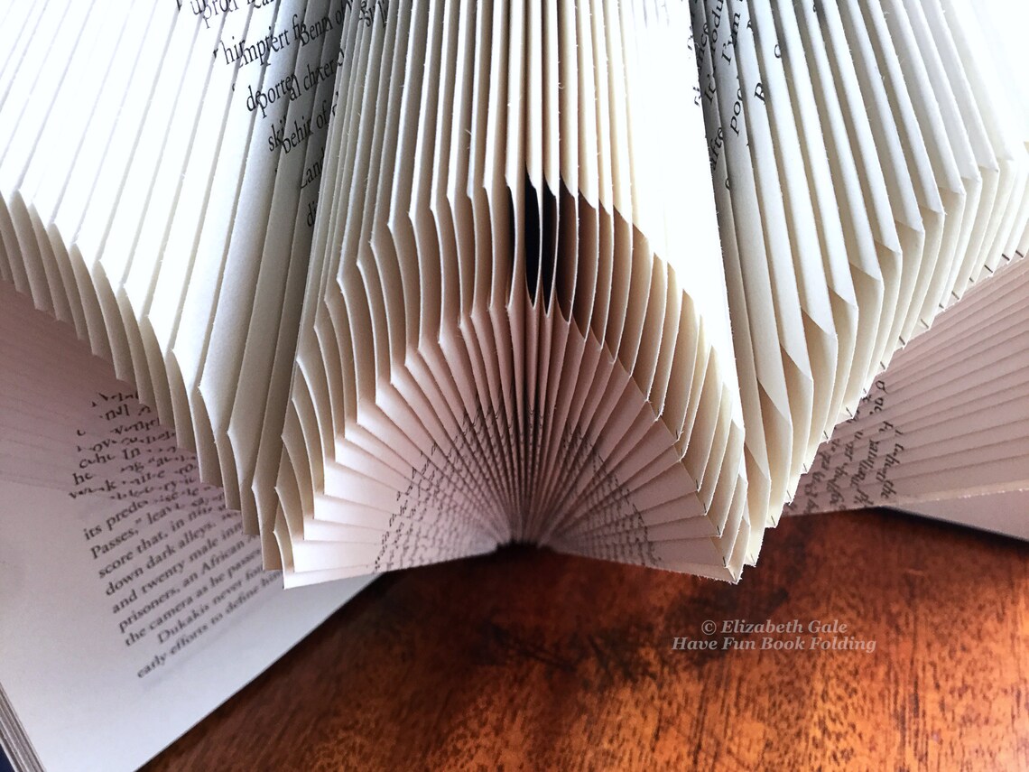 ARCHES Book Folding Pattern 161 Folds 322 Numbered Pages. - Etsy