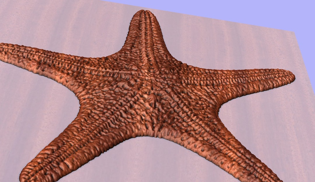 Starry Seas Unveiled: 3d-converted Starfish X-ray CNC Art Carving ...