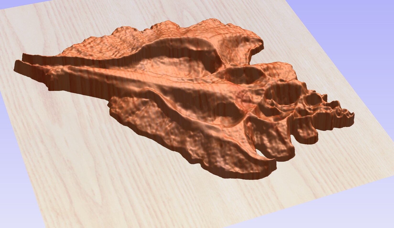 X-ray Wonders: A 3D Sea Shell Art - Where Science Meets Artistry! 3D ...