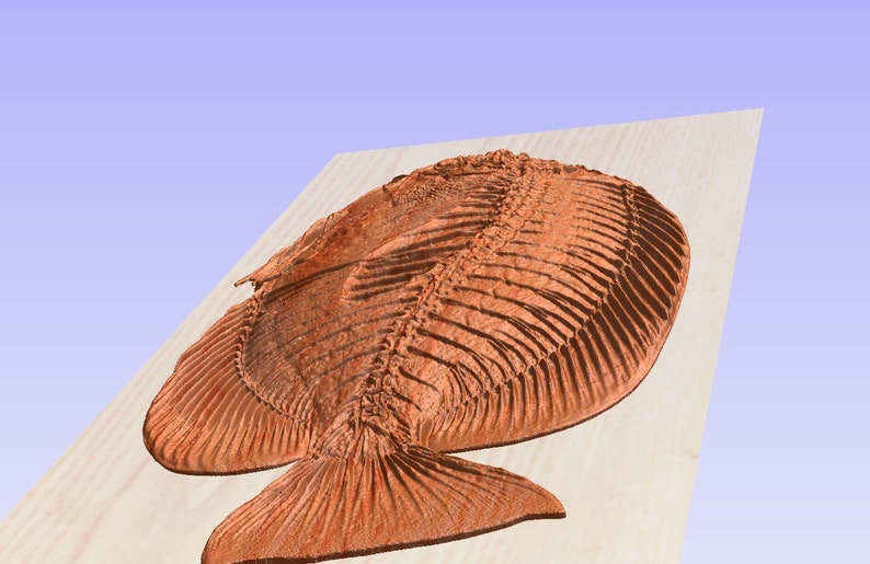 3D Fish X-ray Skeleton for CNC, 3d Stl Model, Cnc Router Engraver ...