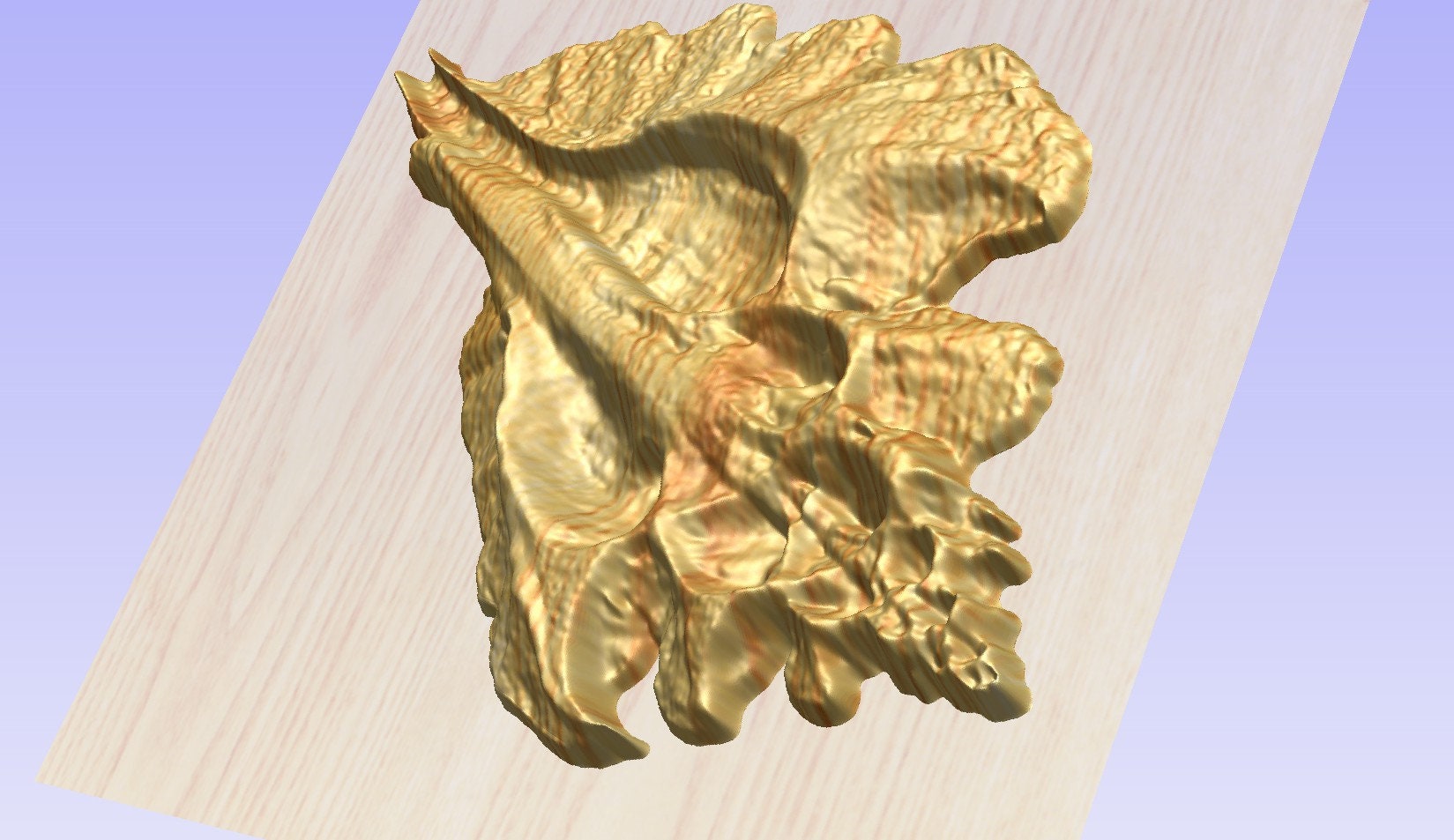 X-ray Wonders: A 3D Sea Shell Art - Where Science Meets Artistry! 3D ...