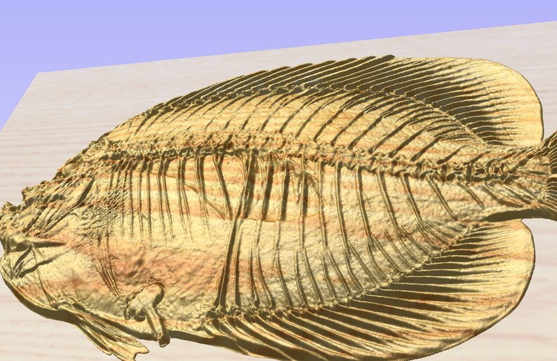 3D Fish X-ray Skeleton for CNC 3d Stl Model Cnc Router - Etsy