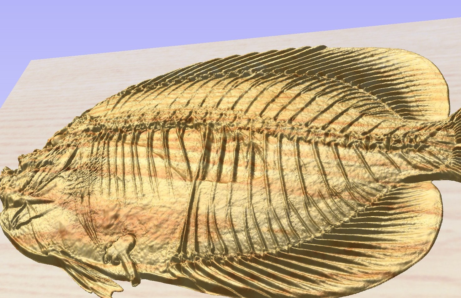 3D Fish X-ray Skeleton for CNC, 3d Stl Model, Cnc Router Engraver ...