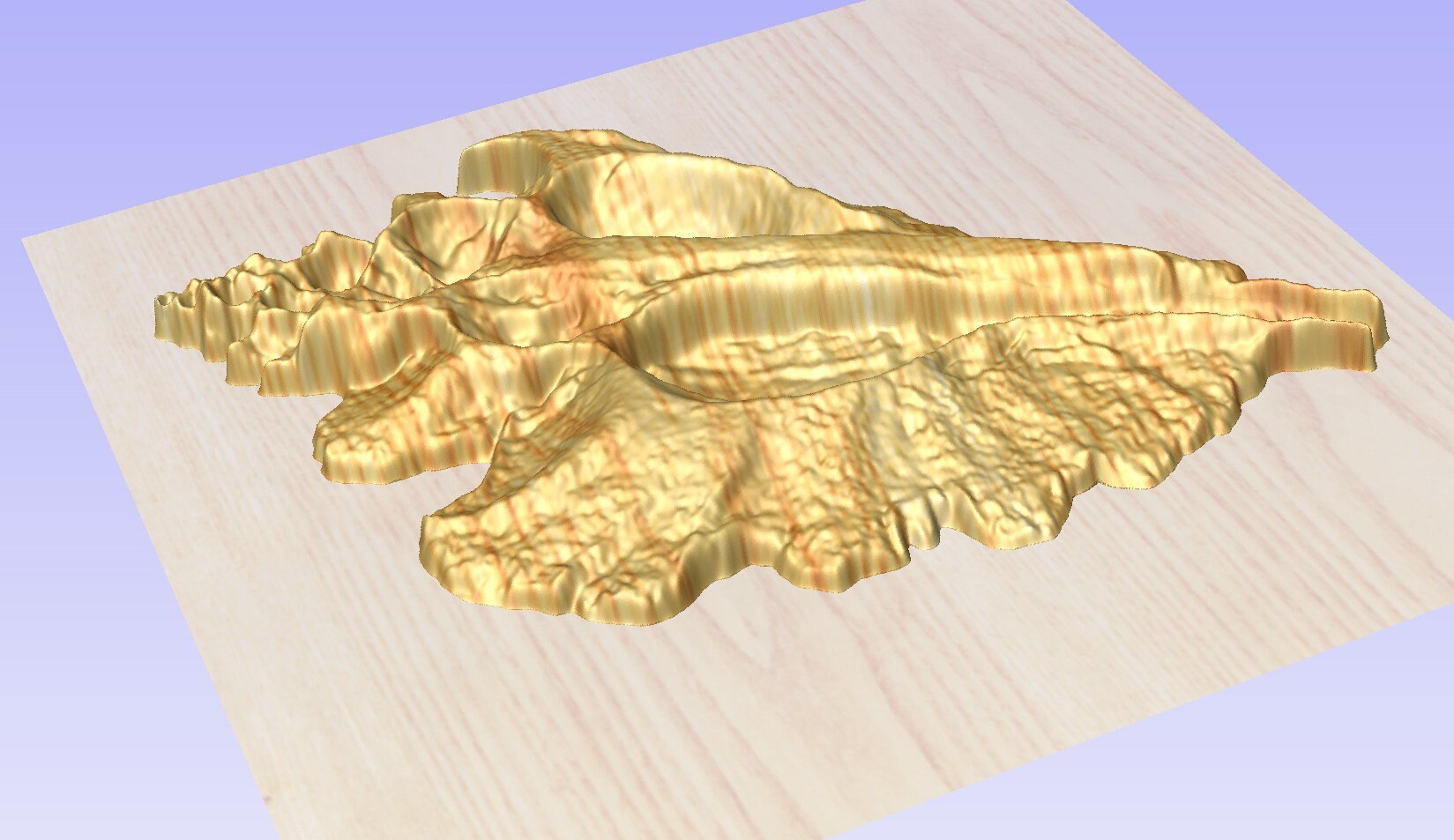 X-ray Wonders: A 3D Sea Shell Art - Where Science Meets Artistry! 3D ...