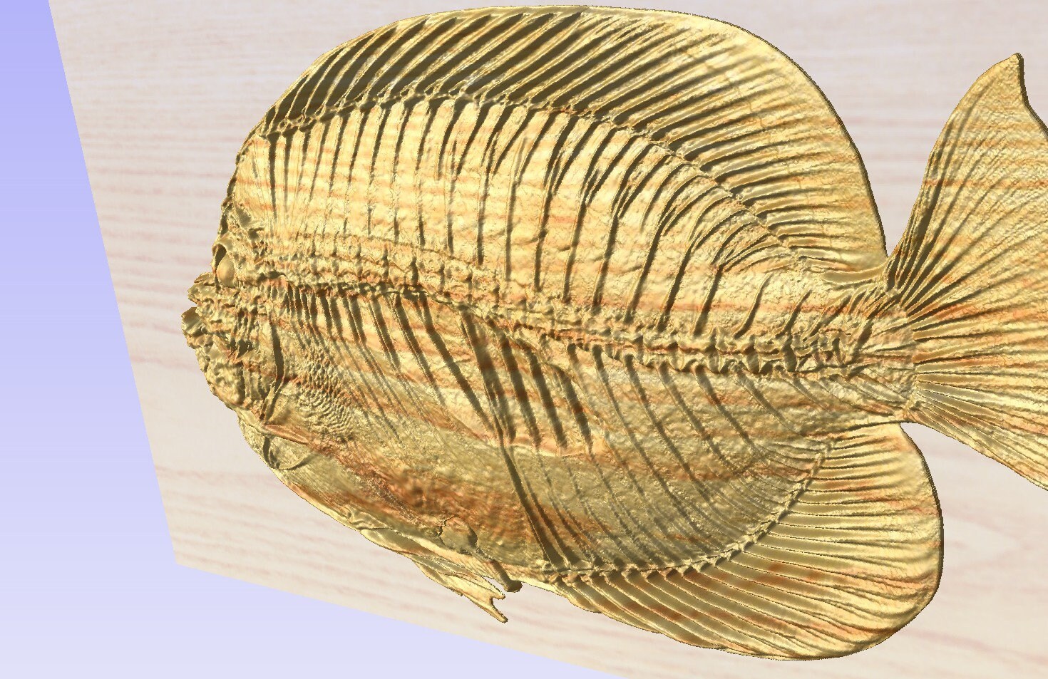 3D Fish X-ray Skeleton for CNC, 3d Stl Model, Cnc Router Engraver ...