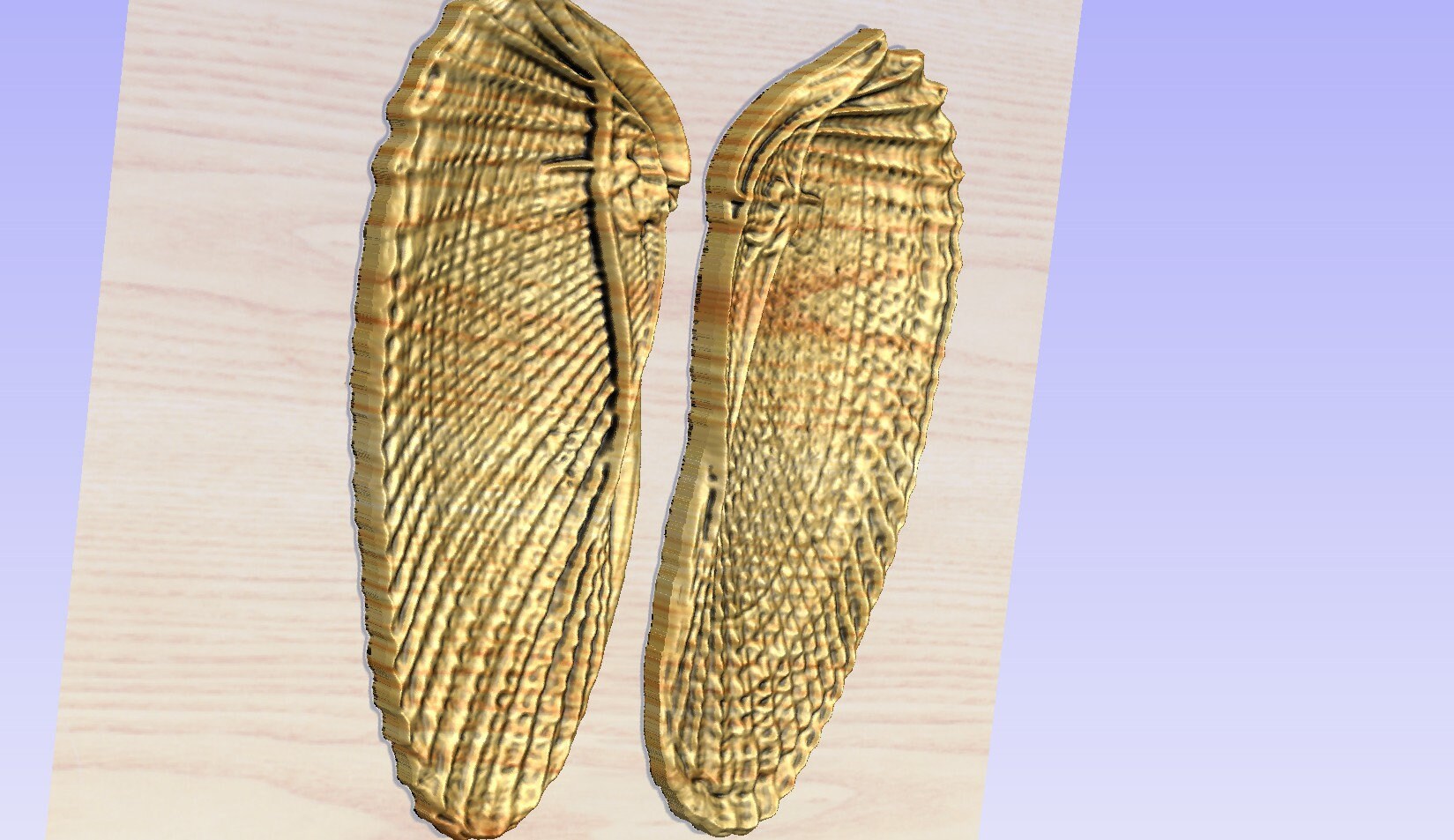 3D Clam X-ray Art: CNC Router Engraver STL Model (digital Download) - Etsy