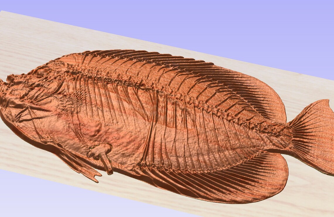 3D Fish X-ray Skeleton for CNC 3d Stl Model Cnc Router - Etsy