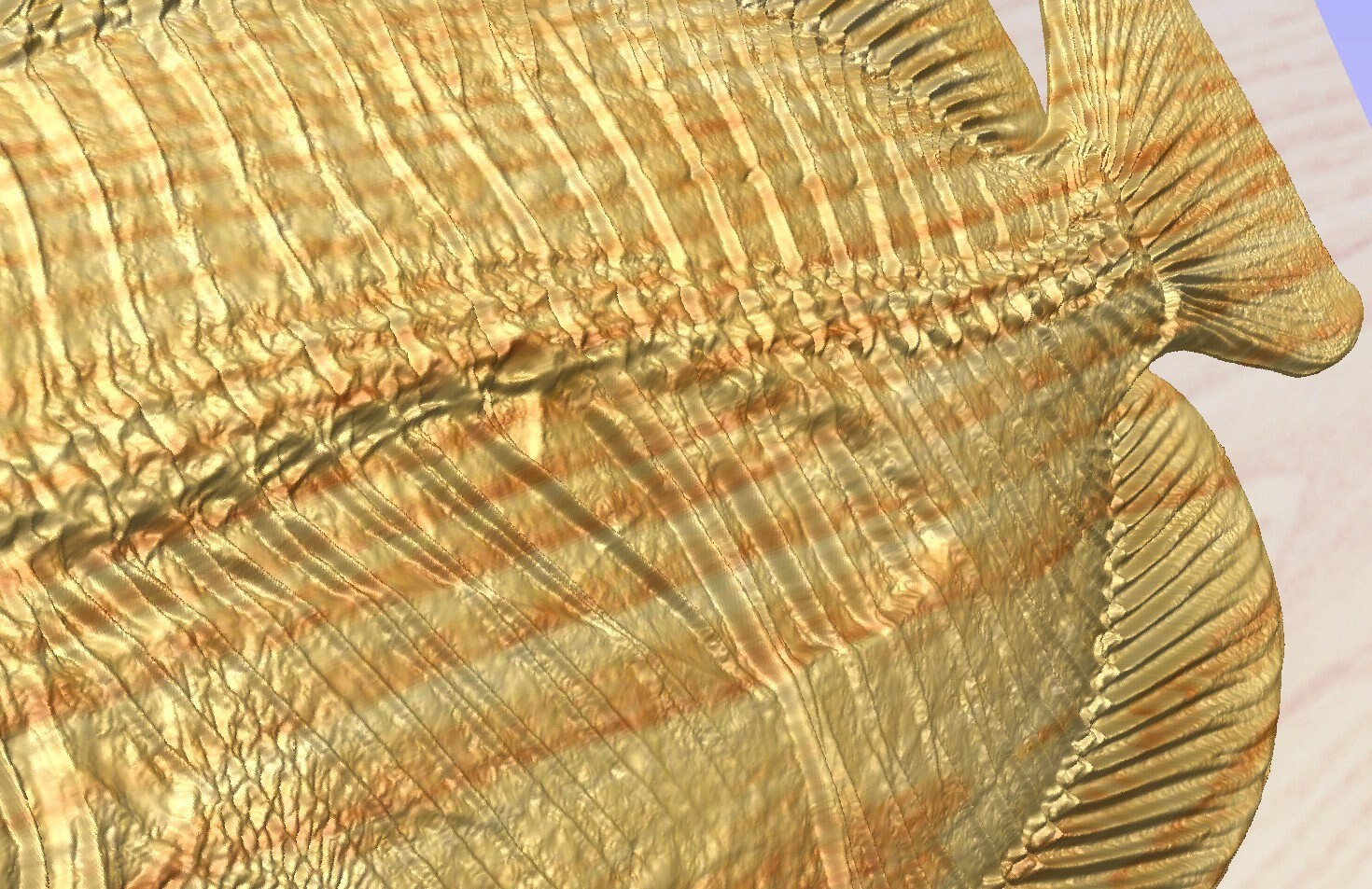 3D Fish X-ray Skeleton for CNC, 3d Stl Model, Cnc Router Engraver ...