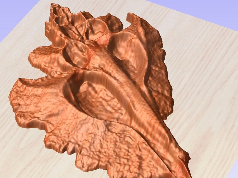 X-ray Wonders: A 3D Sea Shell Art - Where Science Meets Artistry! 3D ...