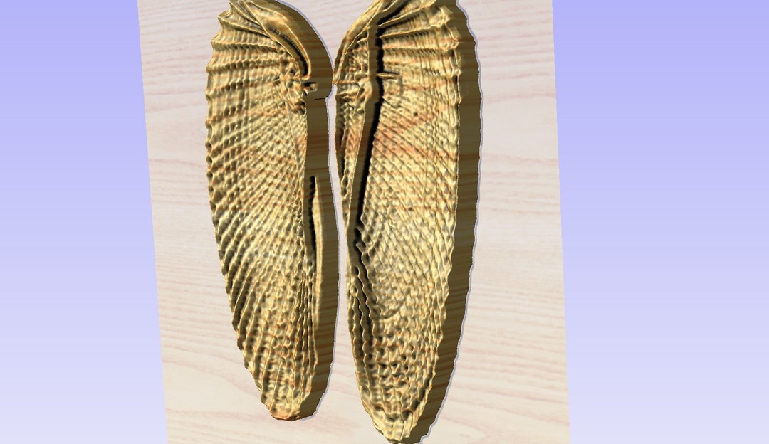 3D Clam X-ray Art: CNC Router Engraver STL Model (digital Download) - Etsy