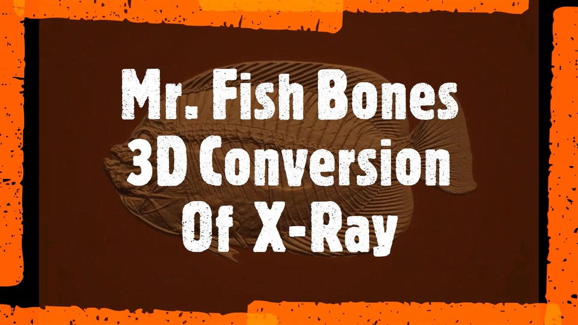 3D Fish X-ray Skeleton for CNC 3d Stl Model Cnc Router - Etsy