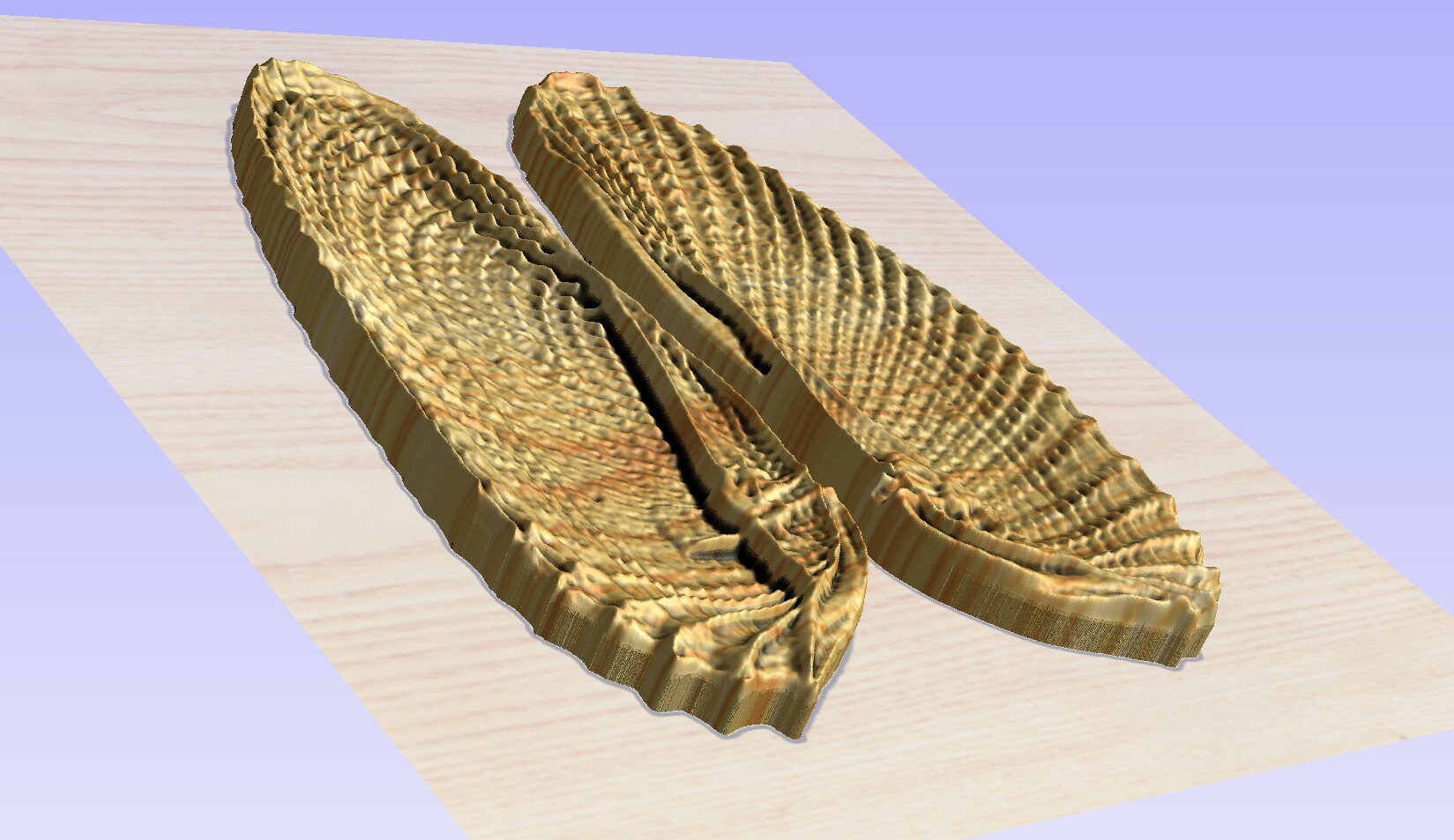3D Clam X-ray Art: CNC Router Engraver STL Model (digital Download) - Etsy