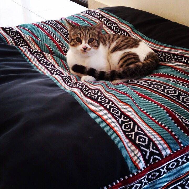 Large Dog Bed Cover floor Cushion-sadu Covers-waterproof-custom Made ...