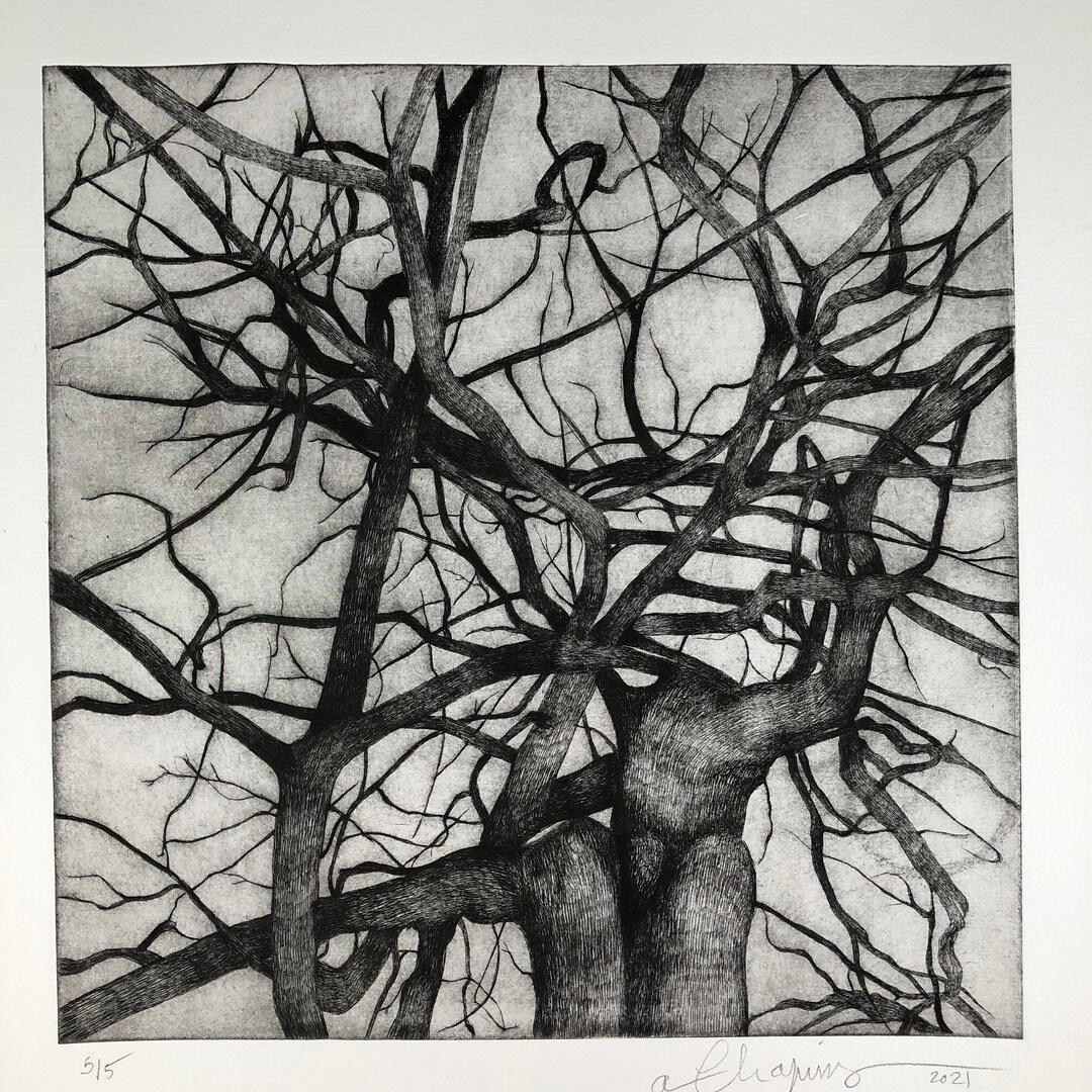 Illustration of a Tree in Black and White Made From a Drypoint ...