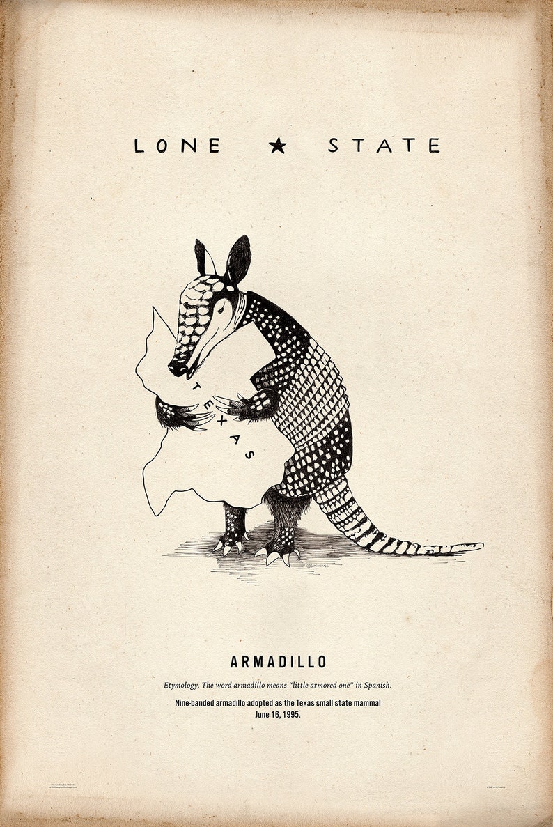 DIGITAL ART DOWNLOAD Lone Star Texas Armadillo - Etsy
