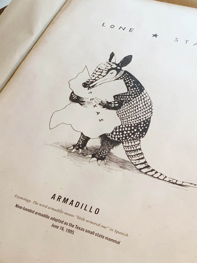 DIGITAL ART DOWNLOAD Lone Star Texas Armadillo - Etsy