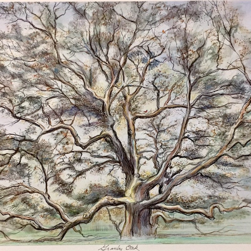 Oak Street Tree - Etsy