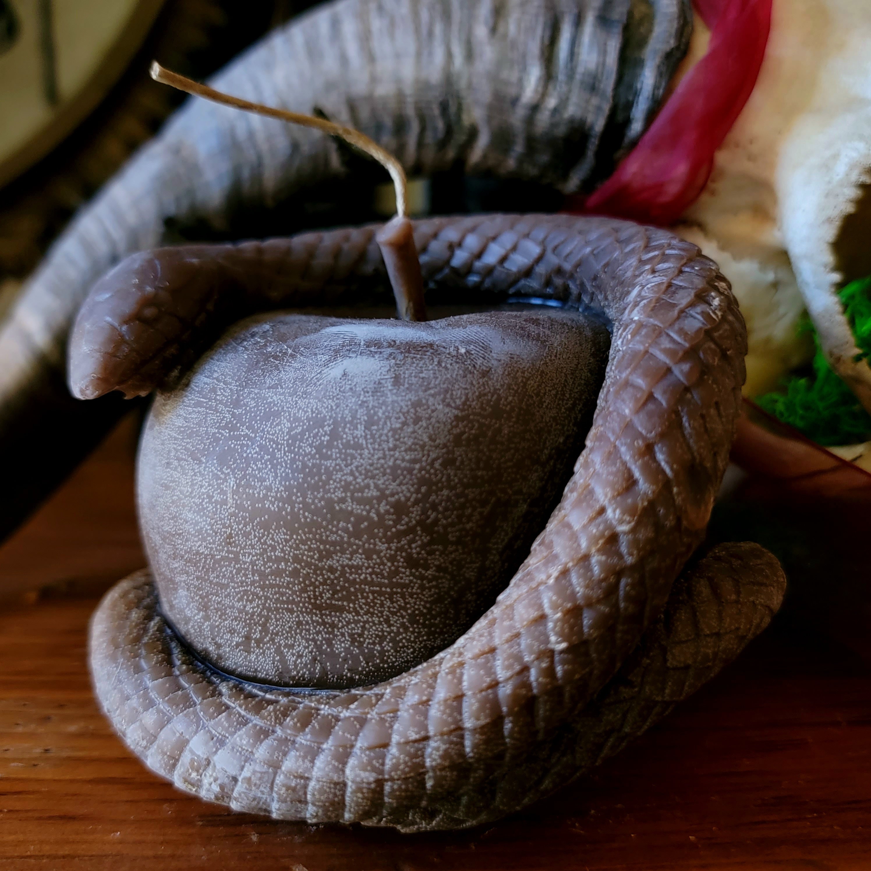 Snake With Apple Tree of Knowledge Handmade Beeswax Candle - Etsy