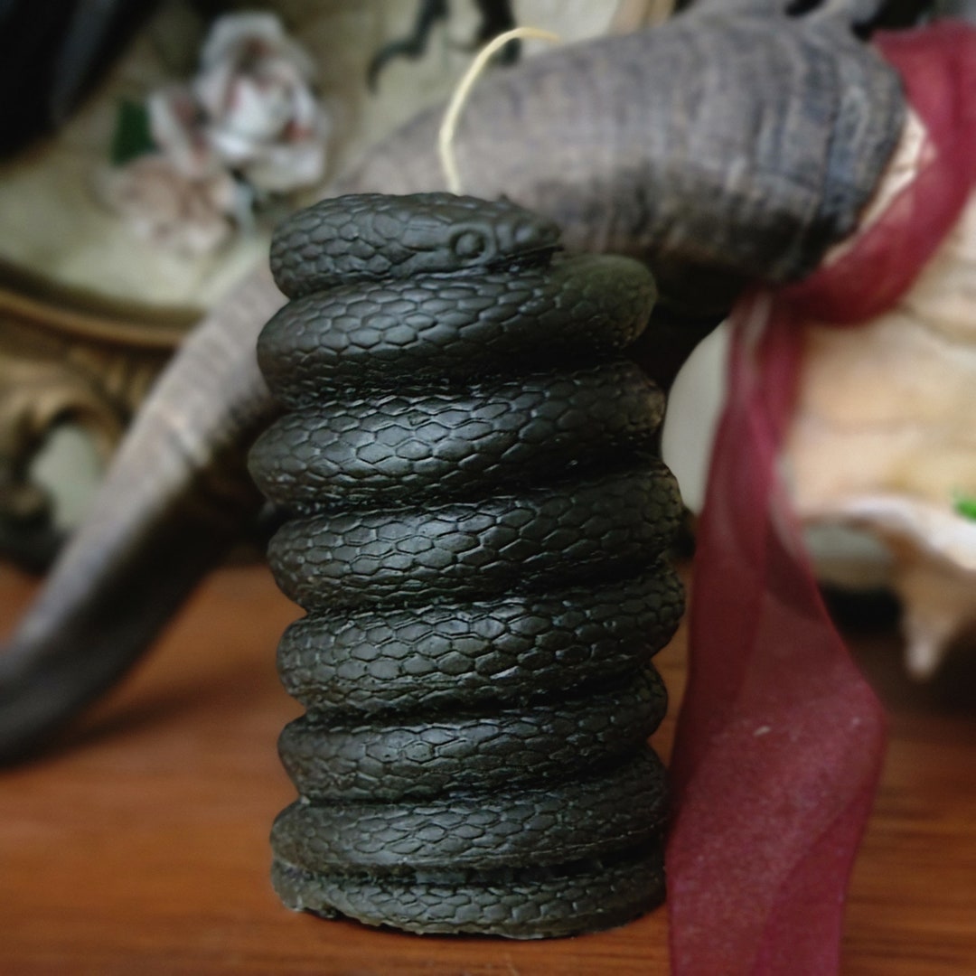 Coiled Snake Handmade Beeswax Candle - Etsy