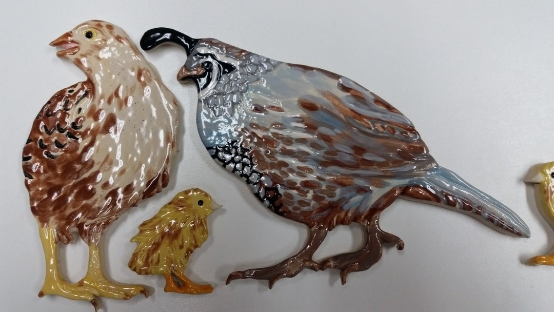 Mom, Dad and 3 Baby Quail for Mosaics. Price is per Set. - Etsy
