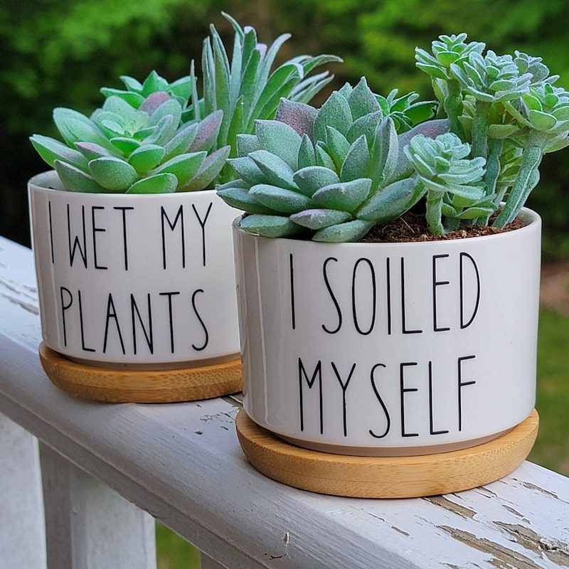Funny Plant Pot - Etsy