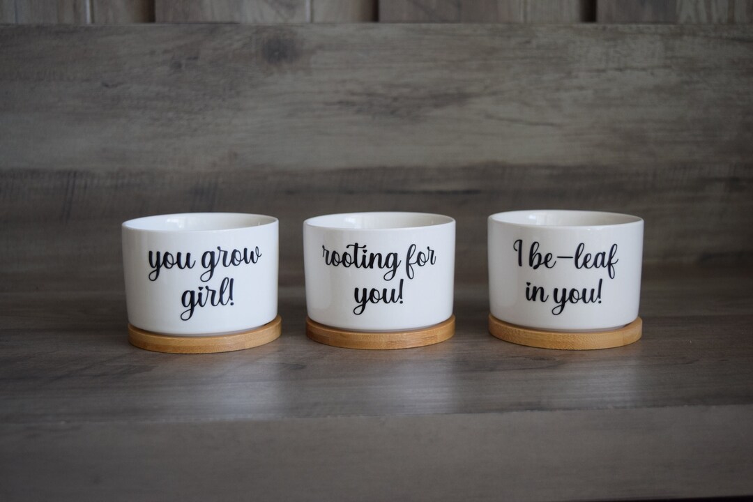 Positive Planters 3 Pack Succulent Pots, Cute Cactus Multipack Pots ...