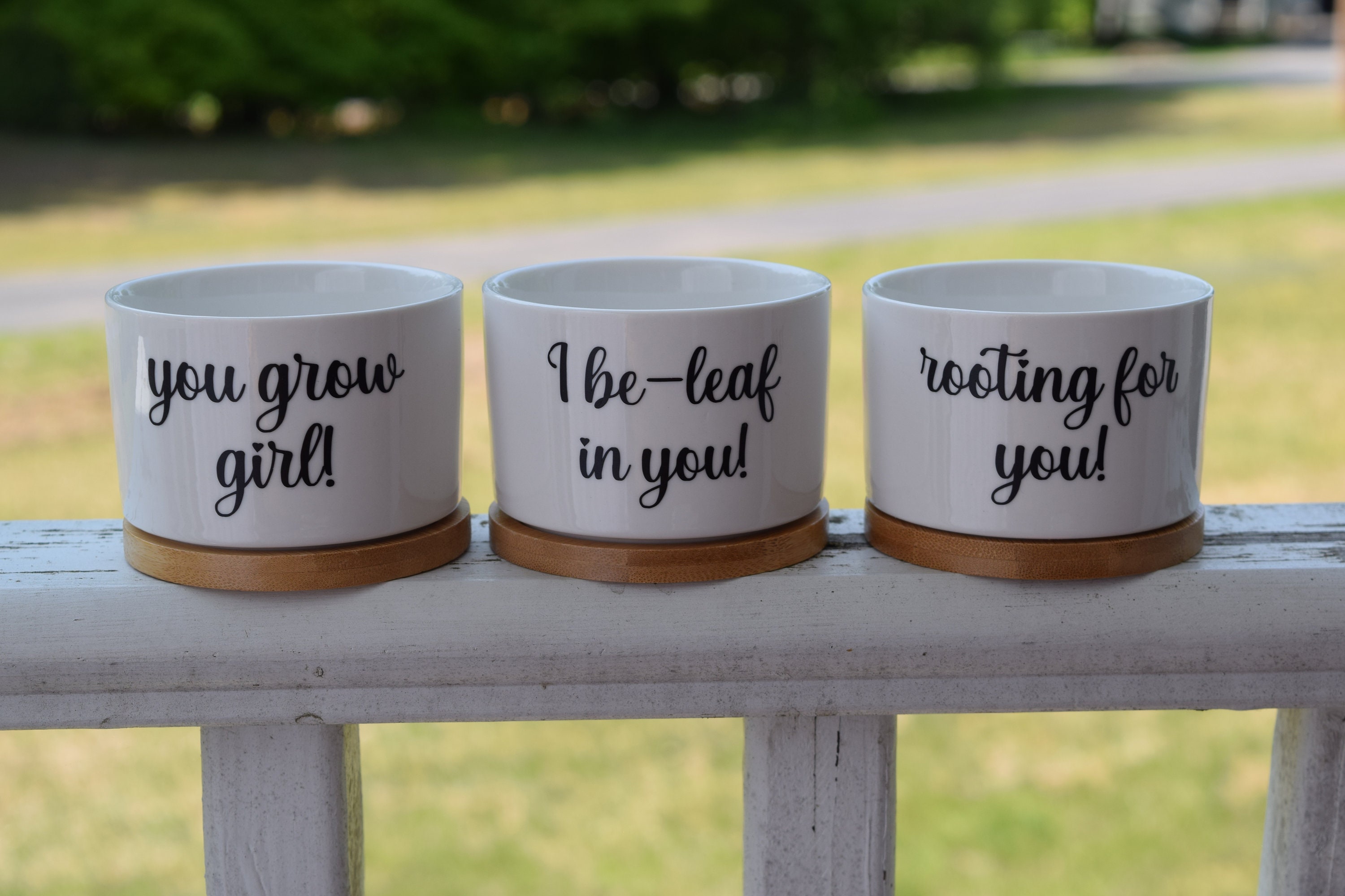 Positive Planters 3 Pack Succulent Pots, Cute Cactus Multipack Pots ...