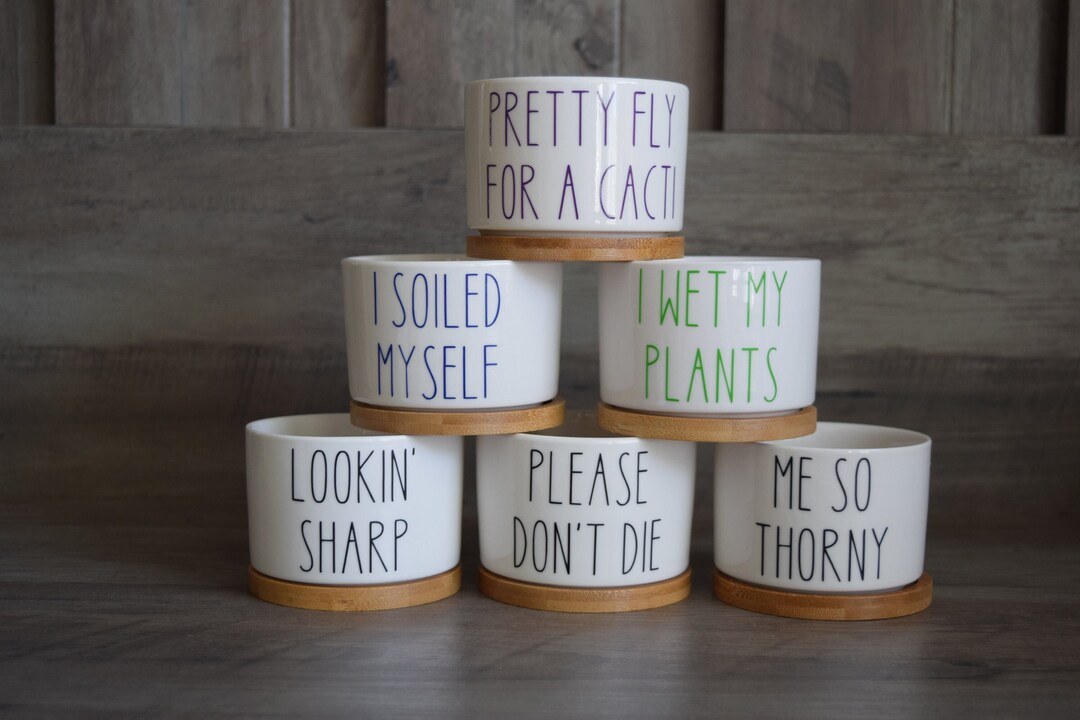 Funny Succulent Pots, Small Plant Pot With Bamboo Tray, Cute Coworker ...