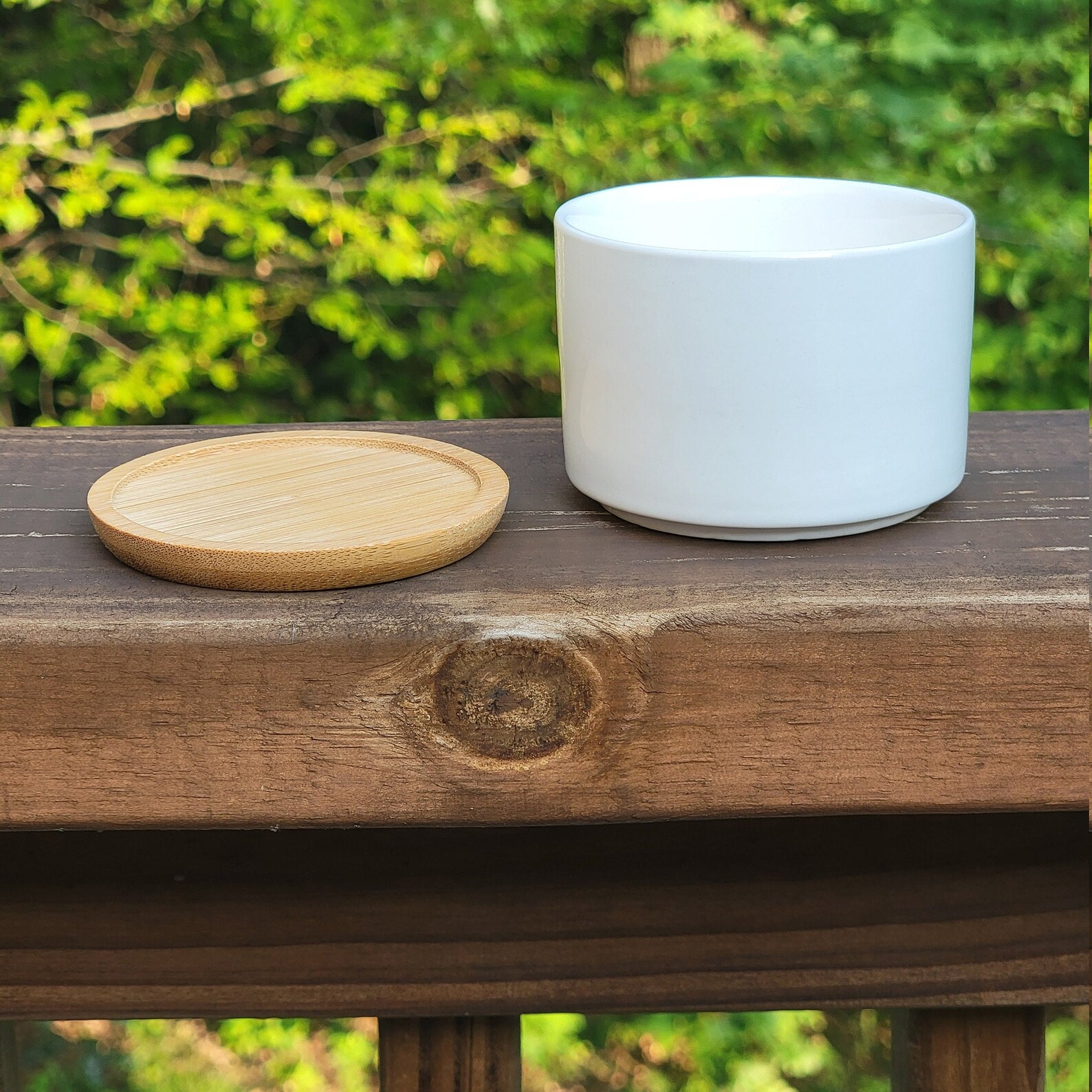 Positive Planters 3 Pack Succulent Pots I Be-Leaf In You | Etsy