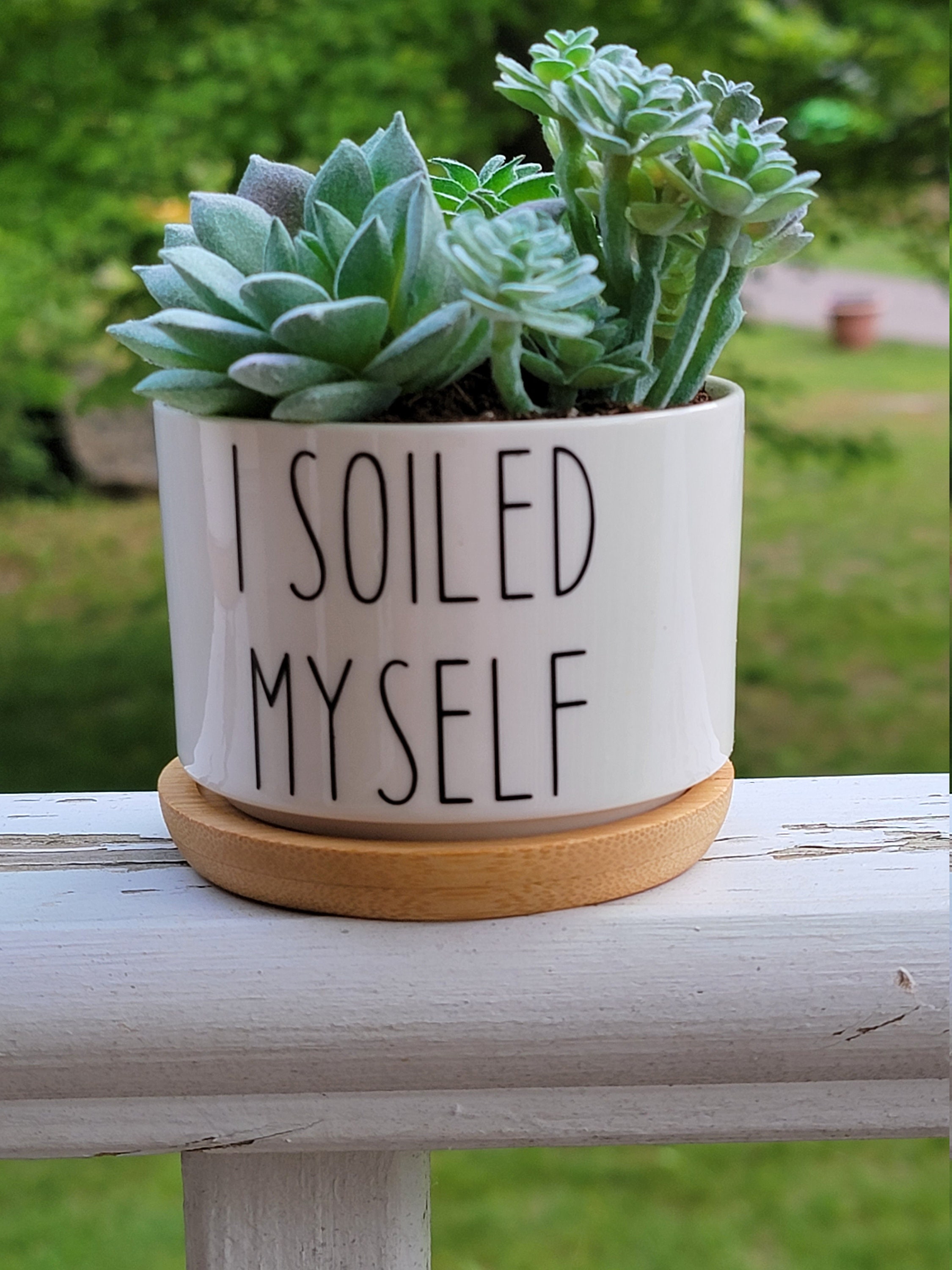 2 Pack Funny Succulent Planters I Soiled Myself & I Wet My | Etsy